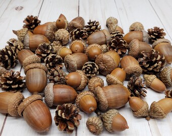 25 Large Natural Acorns With Caps Real Acorns DIY Crafts Thanksgiving ...