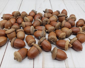 Tiny and Miniature Real Acorns, 100, Natural Acorns, DIY Crafts and ...