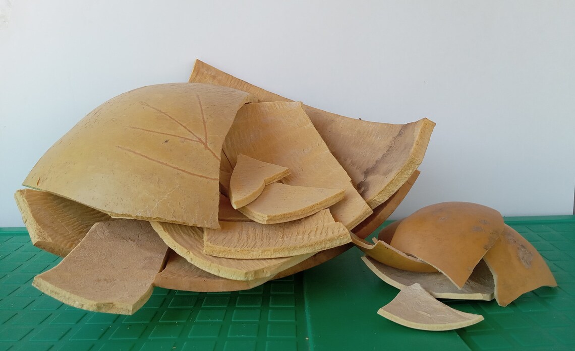 Handcrafted Broken Calabash Pieces for DIY Hard Shell and Lightweight ...