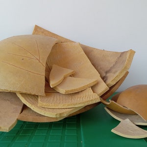 Handcrafted Broken Calabash Pieces for DIY Hard Shell and Lightweight ...