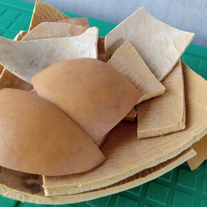 Handcrafted Broken Calabash Pieces for DIY Hard Shell and Lightweight ...