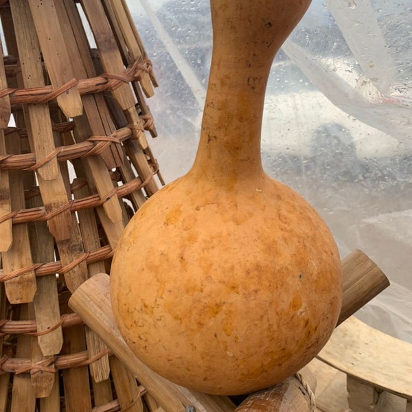 Calabash Gourd - Etsy