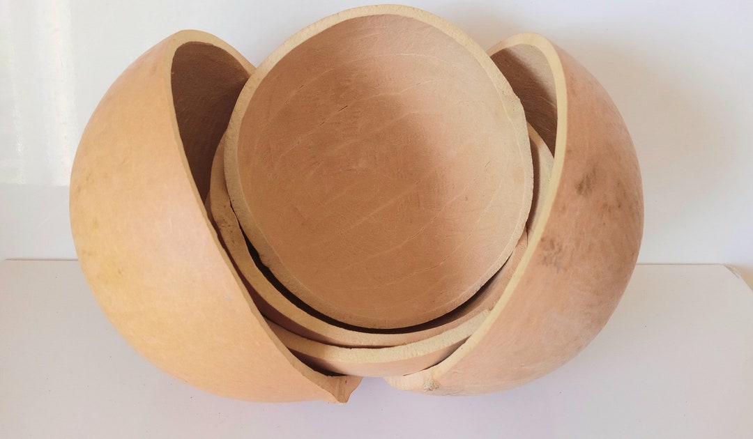 Natural Hand-made Regular Calabash Bowls From West Africa With Hard ...