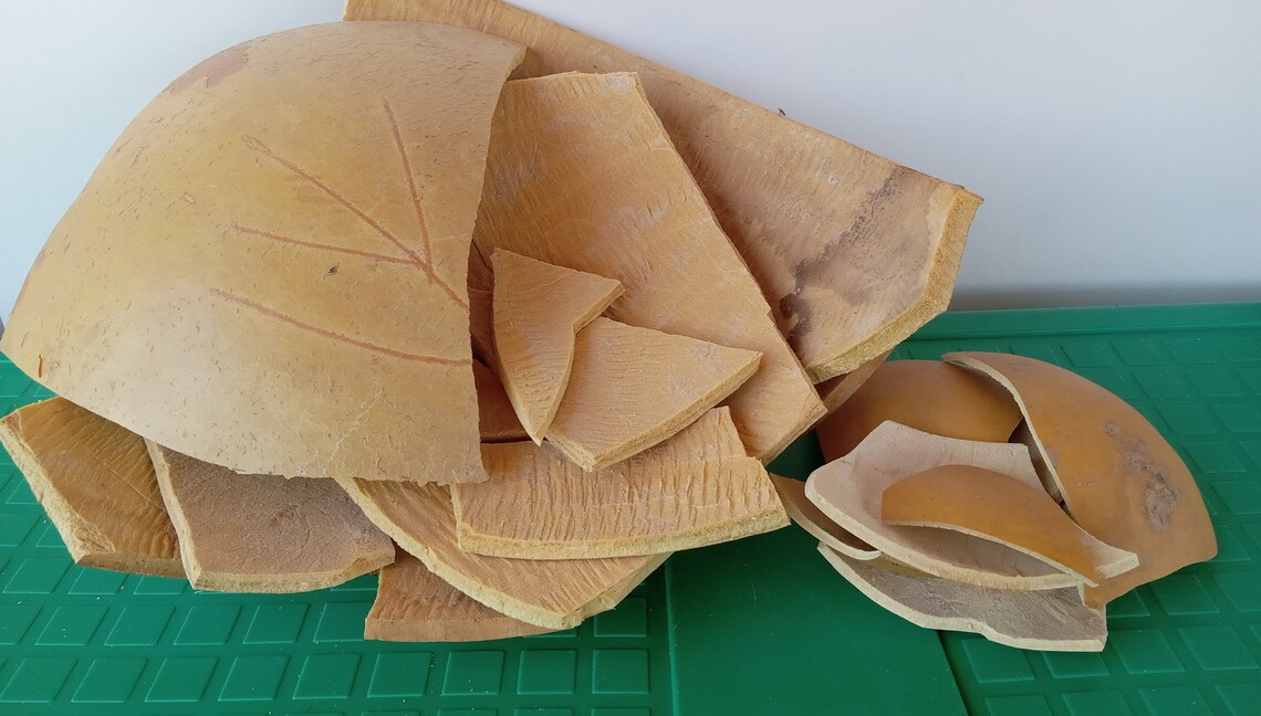 Handcrafted Broken Calabash Pieces for DIY Hard Shell and Lightweight ...