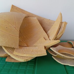 Handcrafted Broken Calabash Pieces for DIY Hard Shell and Lightweight ...