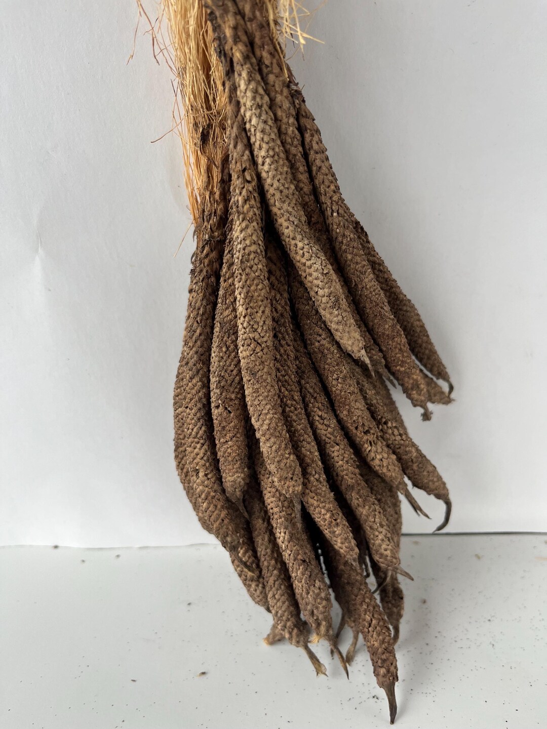 Dried Palm Flower Sticks, African Incense, Palm Rasta (20 Pieces ) - Etsy