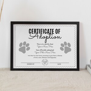 Editable Cat Dog Pet Adoption Certificate, Adopt an Animal, Printable ...