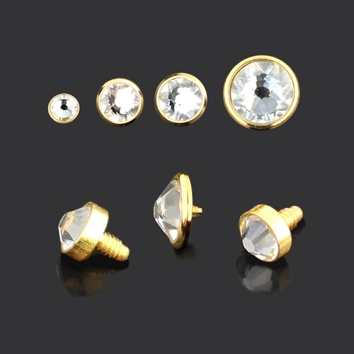 Disc Dermal Top Surgical Steel Microdermal 14G Stud Price - Etsy