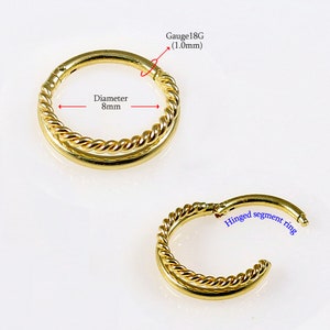 14K Gold Double Stack Hinged Segment Clicker Ring Hoop/ Cartilage ...