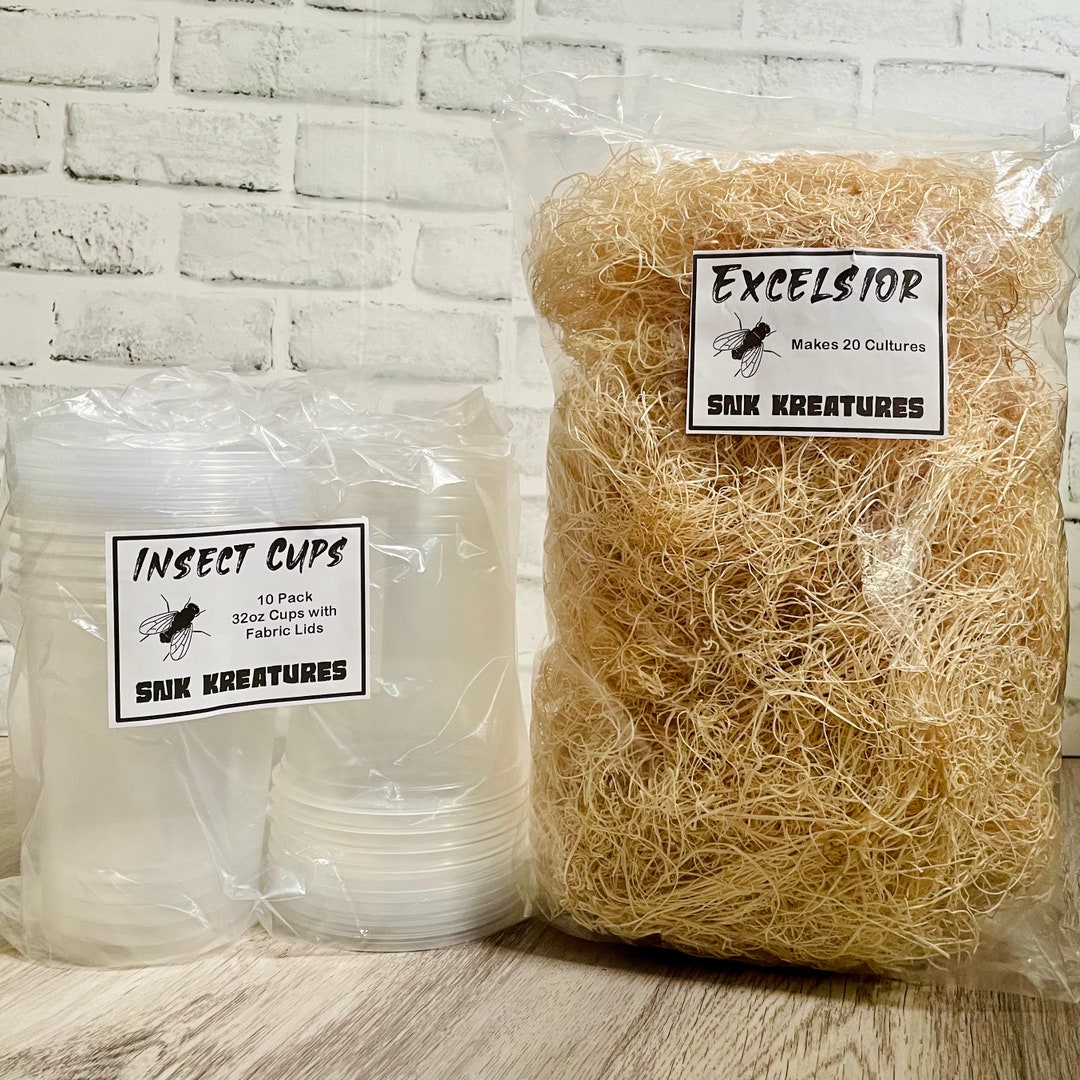 Fruit Fly Culturing Kit 20 Cultures - Etsy