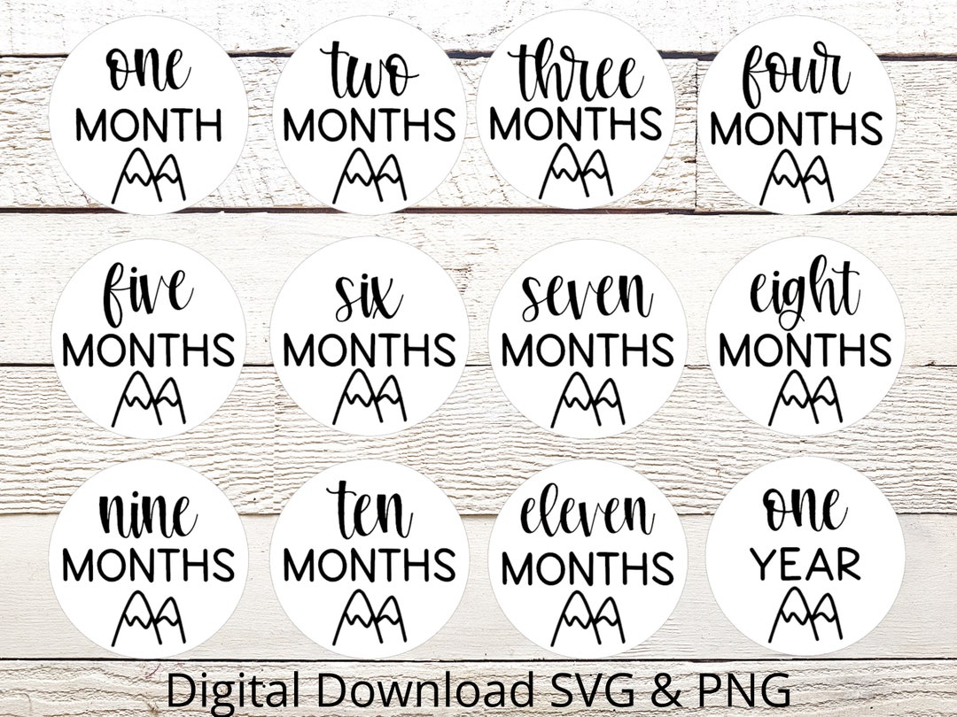 Baby Milestone Rounds SVG, Baby Monthly Milestone Rounds Svg, Baby ...