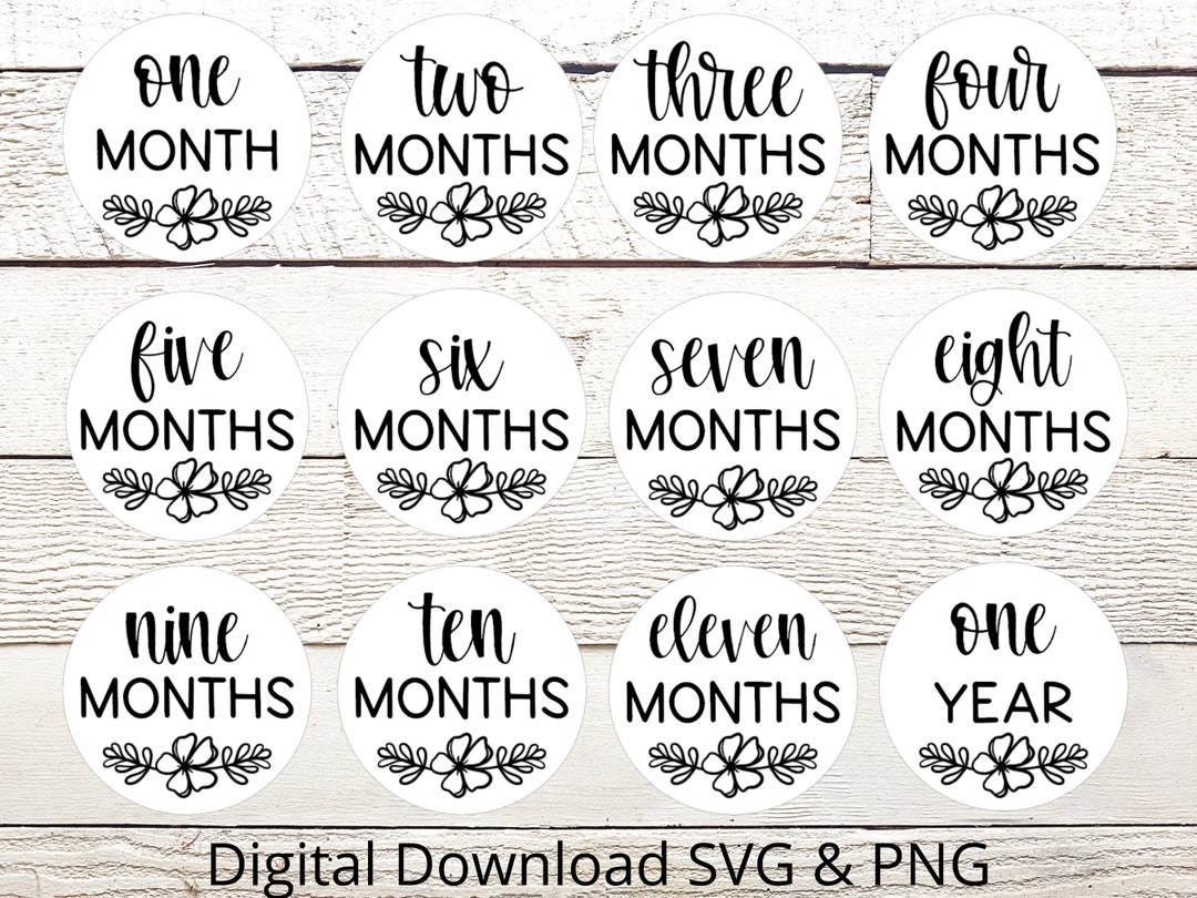 Baby Milestone Rounds SVG, Baby Monthly Milestone Rounds Svg, Baby ...