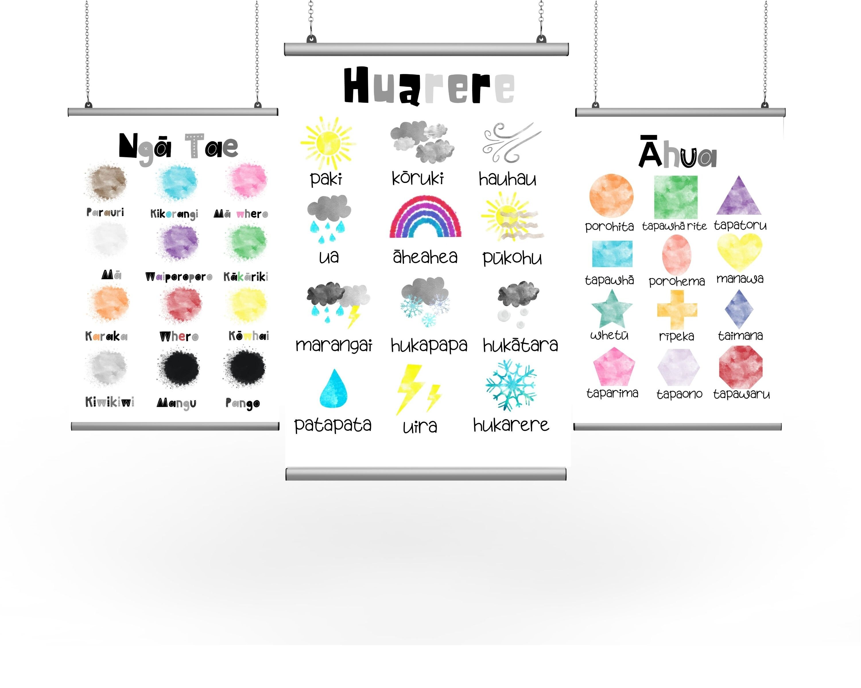 Te Reo Maori to English - Set of 3 - Learn Maori - Shapes - Colours ...