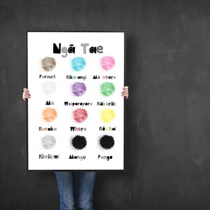 Maori Colours - Classroom Printables, Classroom Poster, Kindergarten ...