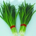LARGE PACKAGE 300+ Seeds| Garlic Chive Seeds |asian Herb Organic | 韭菜 ...