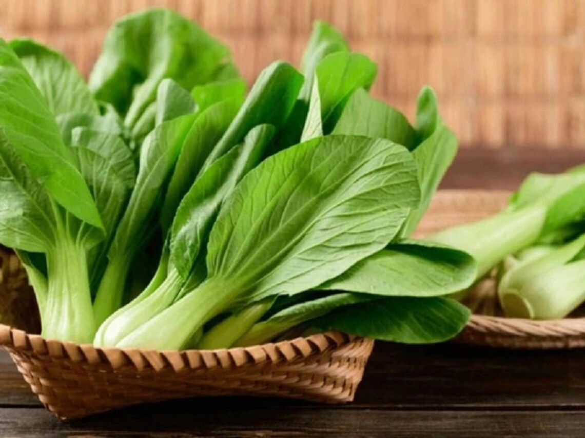 Green Stem Bok Choy Seeds, Non-gmo Shanghai Pechay - Etsy Canada