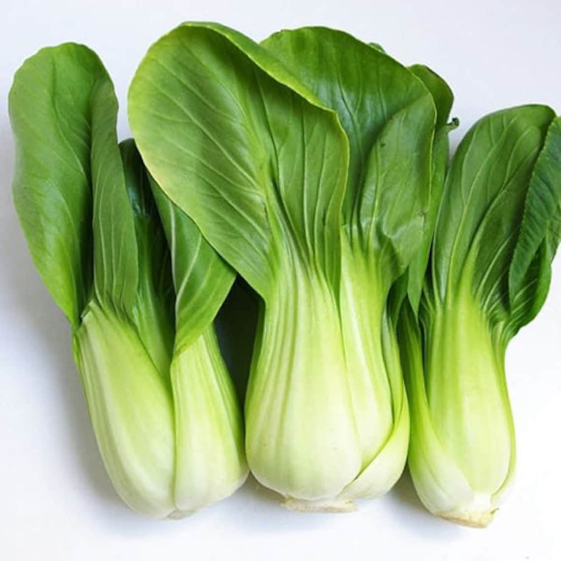 Green Stem Bok Choy Seeds, Non-gmo Shanghai Pechay - Etsy Canada