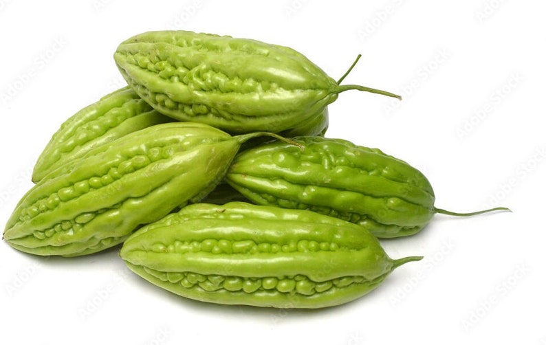 LARGE PACKAGE| 12 Seeds of Hybrid F1 Bitter Melon | Bitter Gourd ...