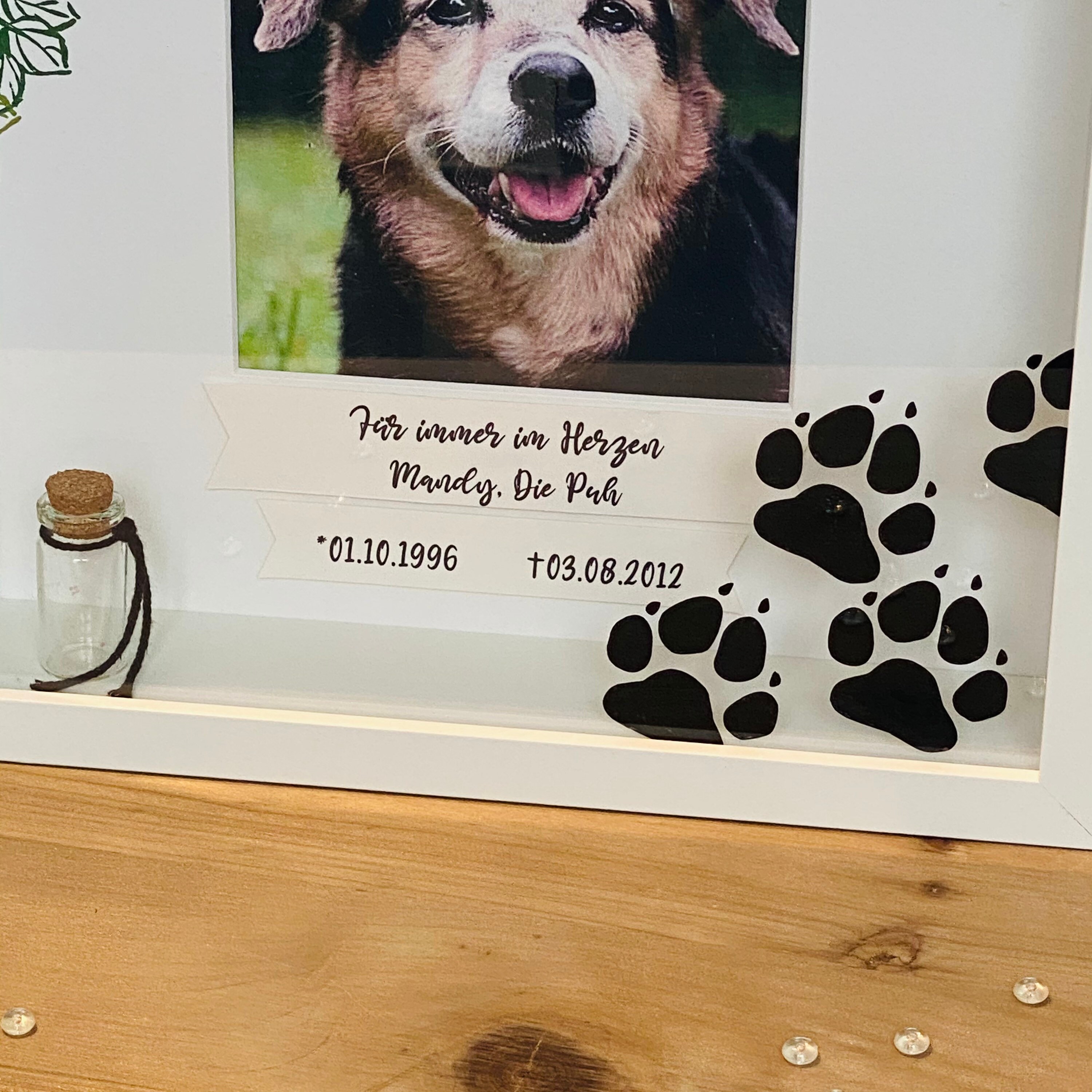 Memorial Frame Pet Shadow Box Dog Cat Best Friend Commemoration ...