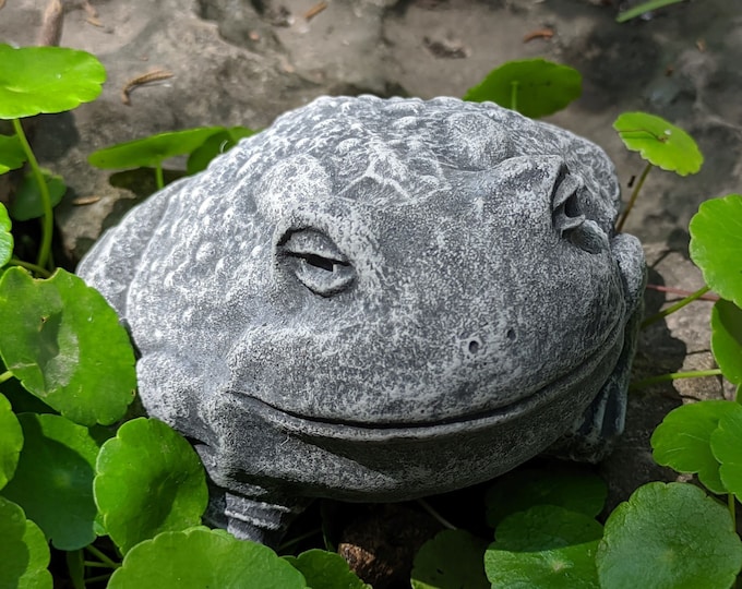 Toad Garden Statue, Cute Frog Concrete Figure, Painted Cement Garden ...