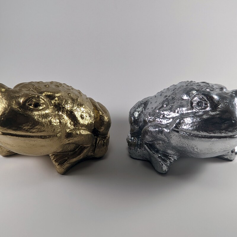 Concrete Toad - Etsy