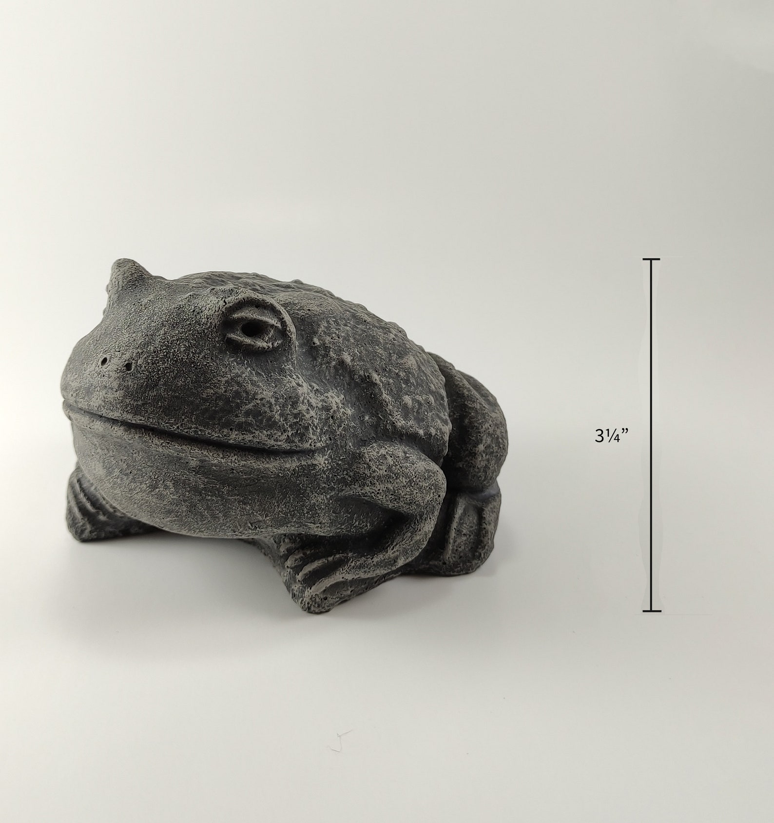 Chilled and Relaxed Toad Concrete Statue Free Shipping - Etsy