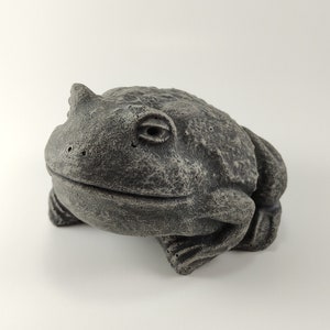 Chilled and Relaxed Toad Concrete Statue Free Shipping - Etsy