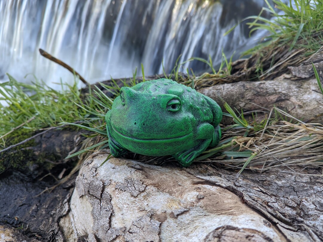 Chilled and Relaxed Toad Concrete Statue - Home or Garden Decor, Cement ...