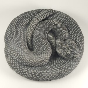 Rattlesnake Concrete Statue - Home or Garden Decor, Cement Statue, Lawn ...