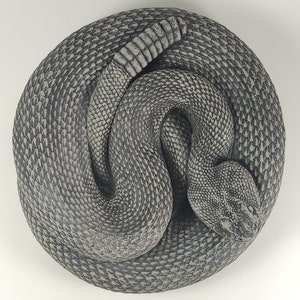 Rattlesnake Concrete Statue - Home or Garden Decor, Cement Statue, Lawn ...