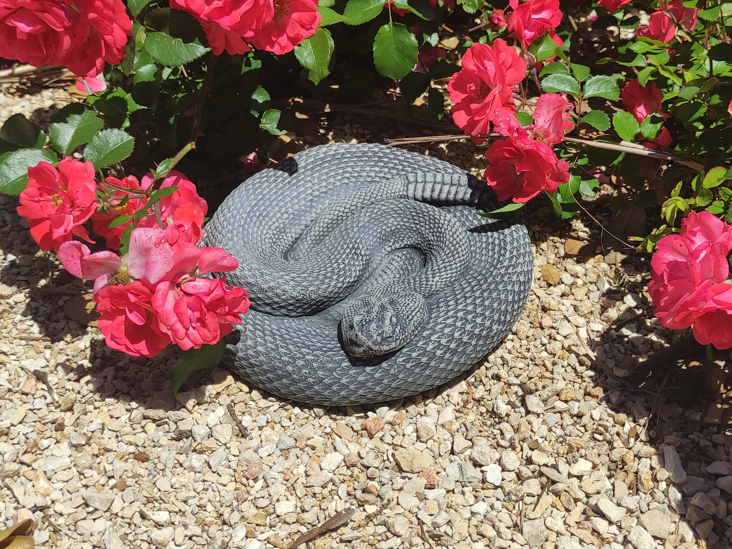 Rattlesnake Concrete Statue Home or Garden Decor Cement - Etsy