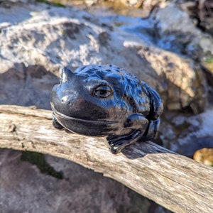 Chilled and Relaxed Toad Concrete Statue - Home or Garden Decor, Cement ...