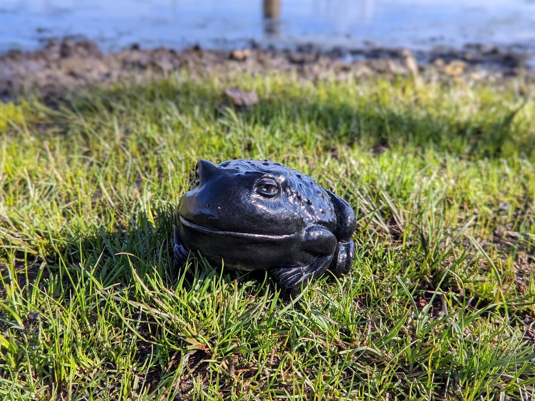 Chilled and Relaxed Toad Concrete Statue - Home or Garden Decor, Cement ...