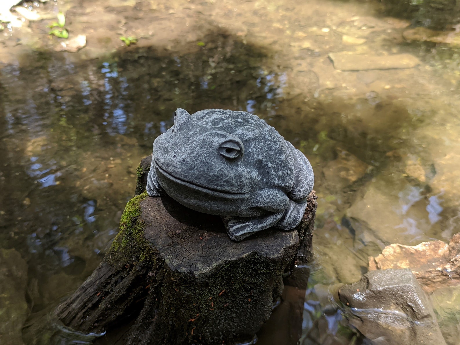 Chilled and Relaxed Toad Concrete Statue Free Shipping - Etsy