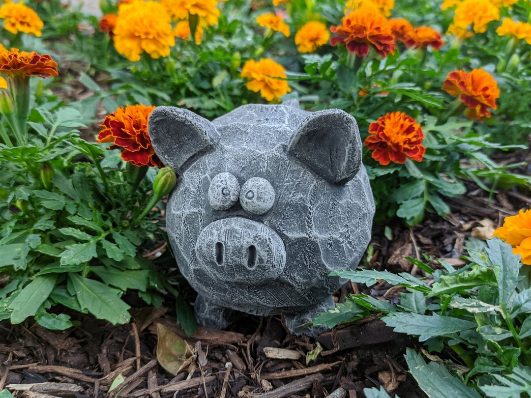 Cute Silly-eyed Pig Concrete Statue - Home or Garden - Free Shipping ...