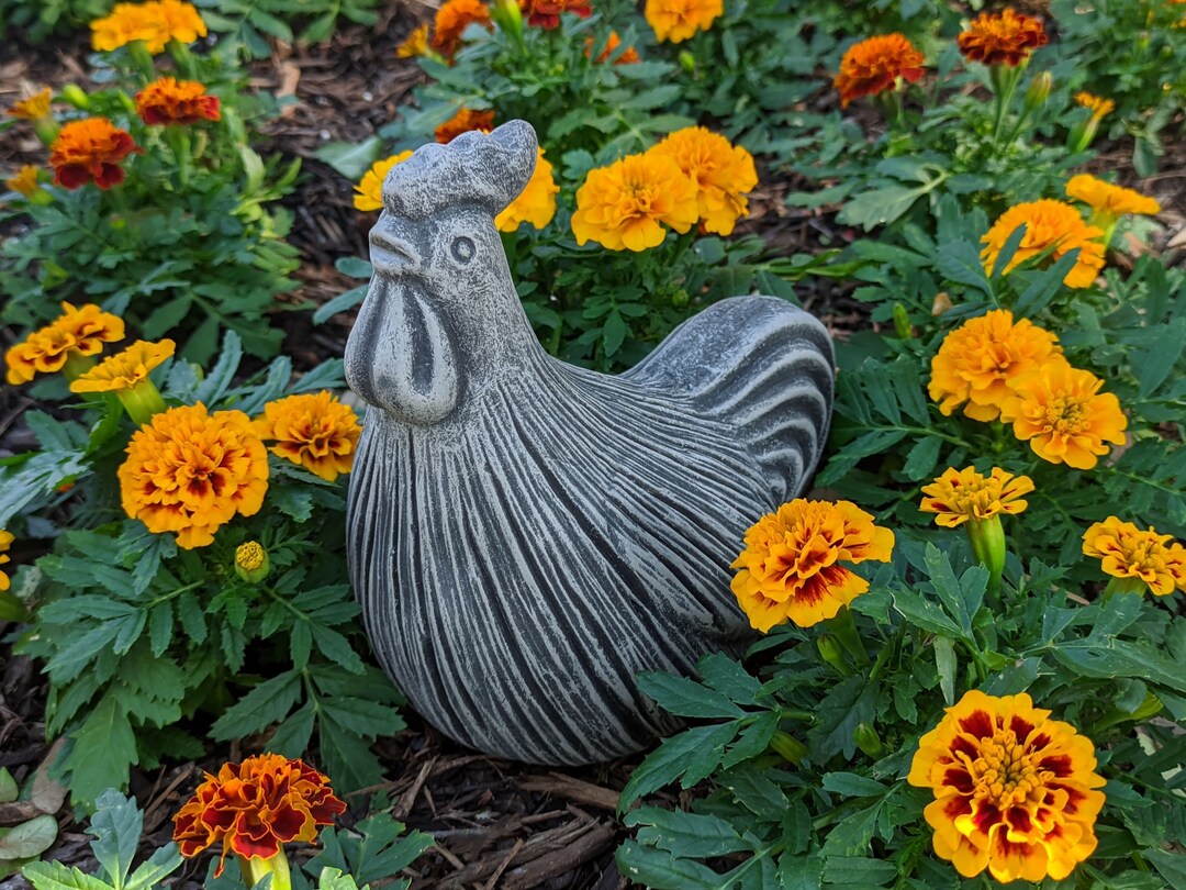 Fat Rooster Concrete Statue - Home or Garden Décor - Cement Statue ...