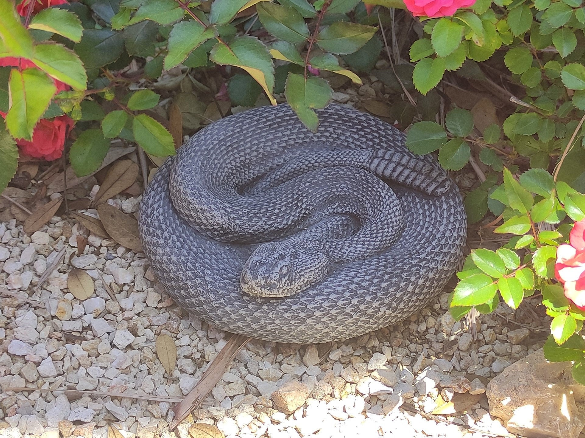 Rattlesnake Concrete Statue Home or Garden Decor Cement - Etsy