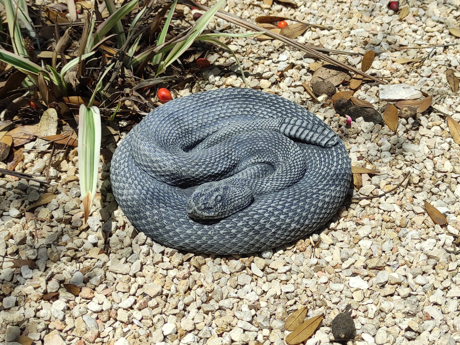 Rattlesnake Concrete Statue Home or Garden Decor, Cement Statue, Lawn ...