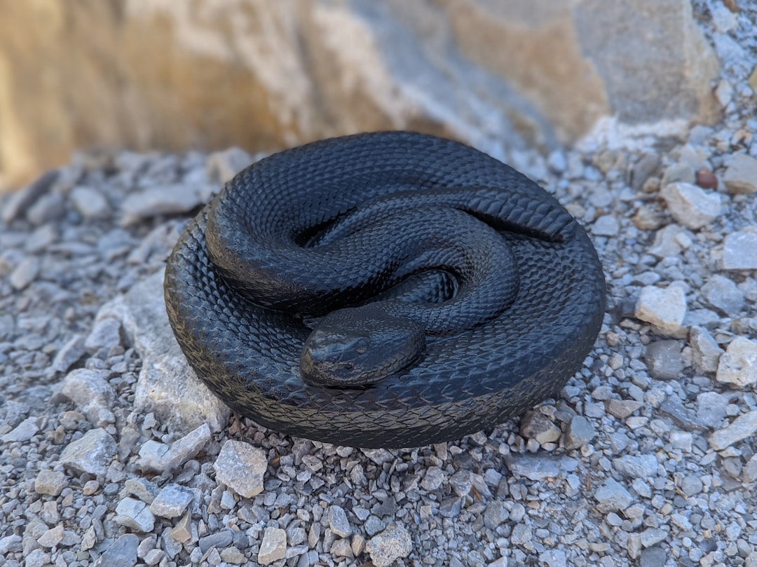 Black Rattlesnake Concrete Statue - Home or Garden Decor, Cement Statue ...