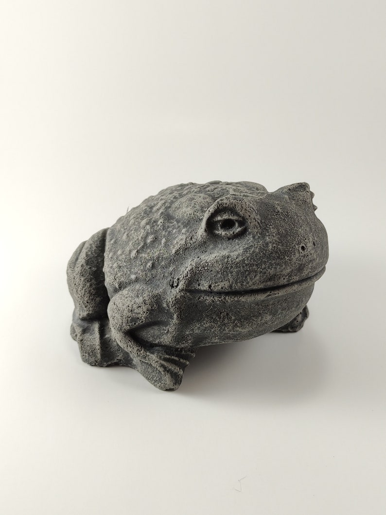 Chilled and Relaxed Toad Concrete Statue Free Shipping - Etsy