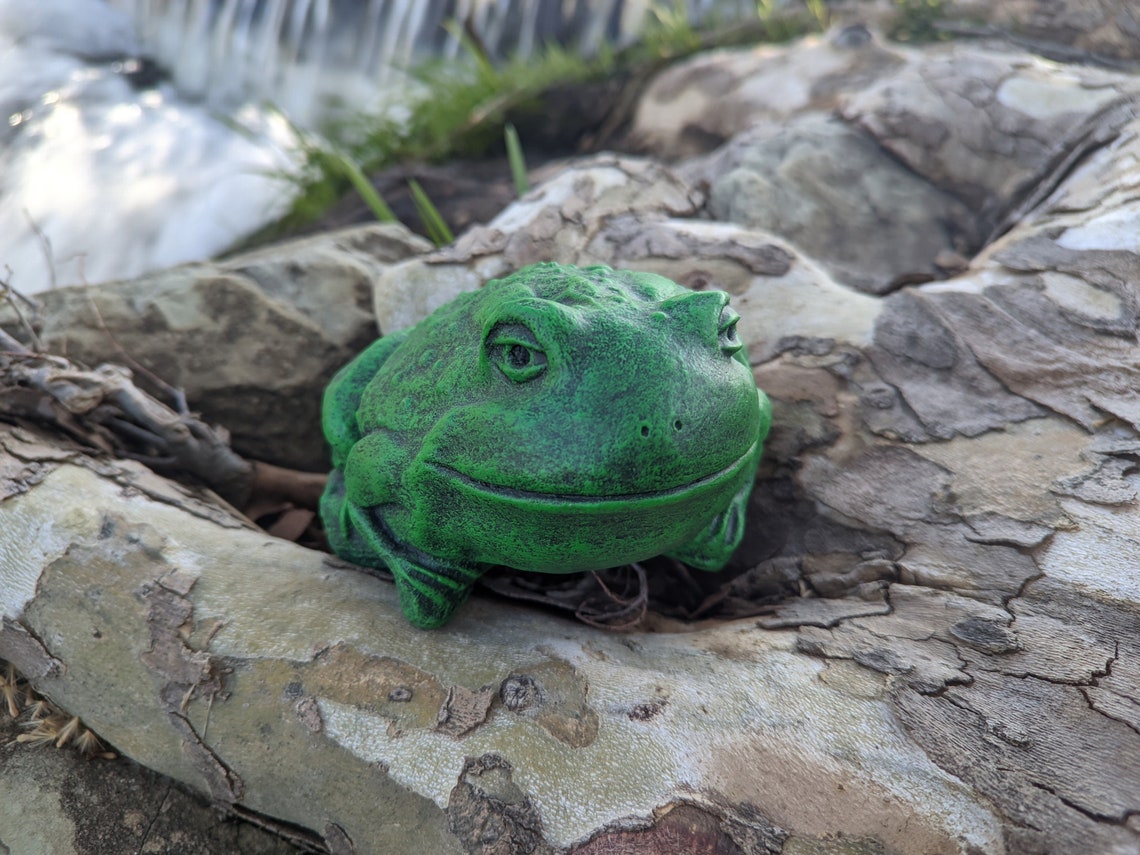 Chilled and Relaxed Toad Concrete Statue - Home or Garden Decor, Cement ...