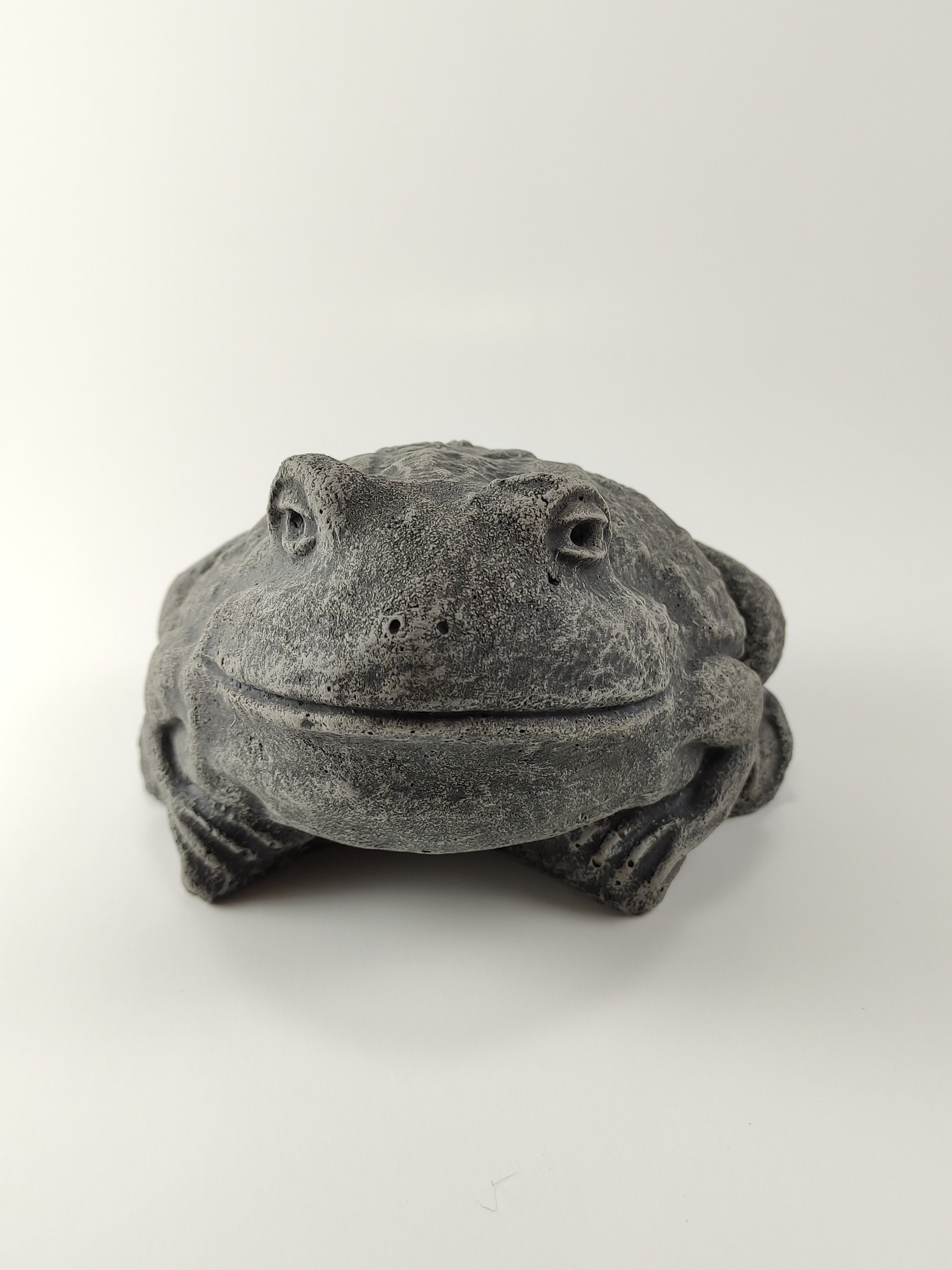 Chilled and Relaxed Toad Concrete Statue Free Shipping - Etsy