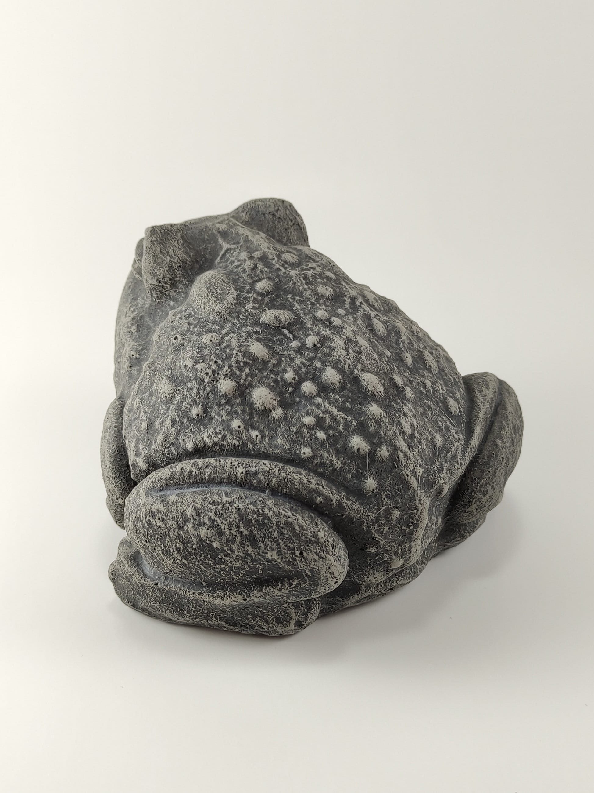 Chilled and Relaxed Toad Concrete Statue Free Shipping - Etsy
