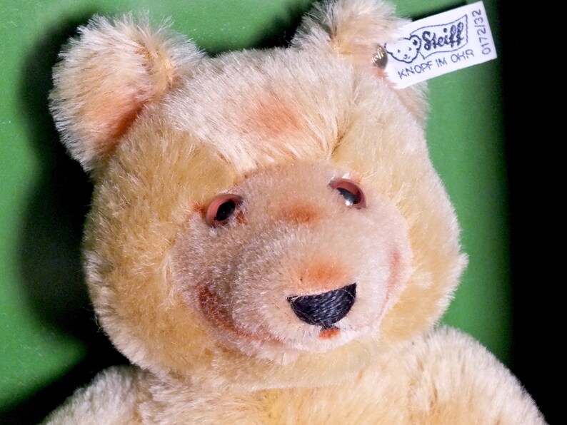 MINT Steiff Dicky Bear Replica 1930 All Ids Never Been Out of - Etsy
