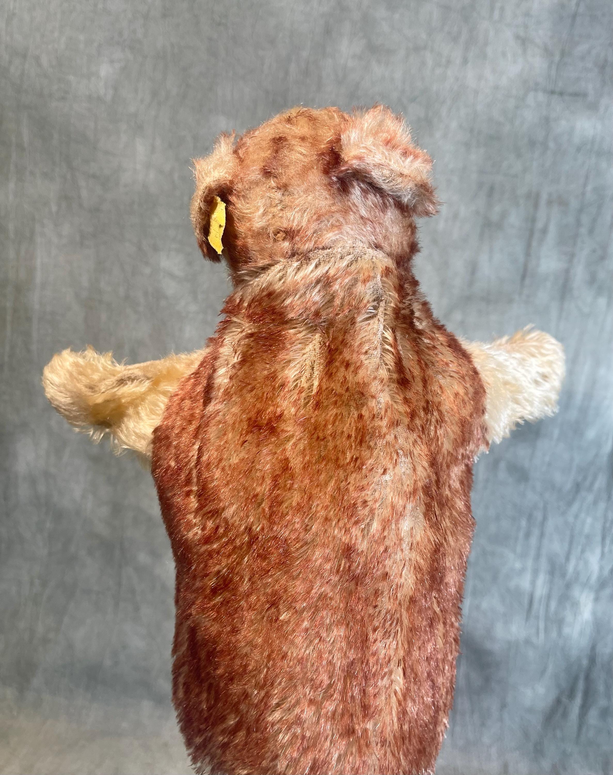 Rare Vintage Steiff Hand Puppet Puppy Molly 1950s With Button & Yellow ...