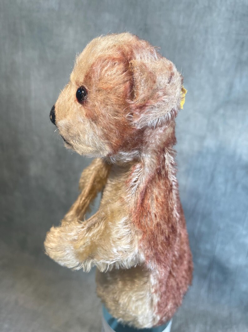 Rare Vintage Steiff Hand Puppet Puppy Molly 1950s With Button & Yellow ...