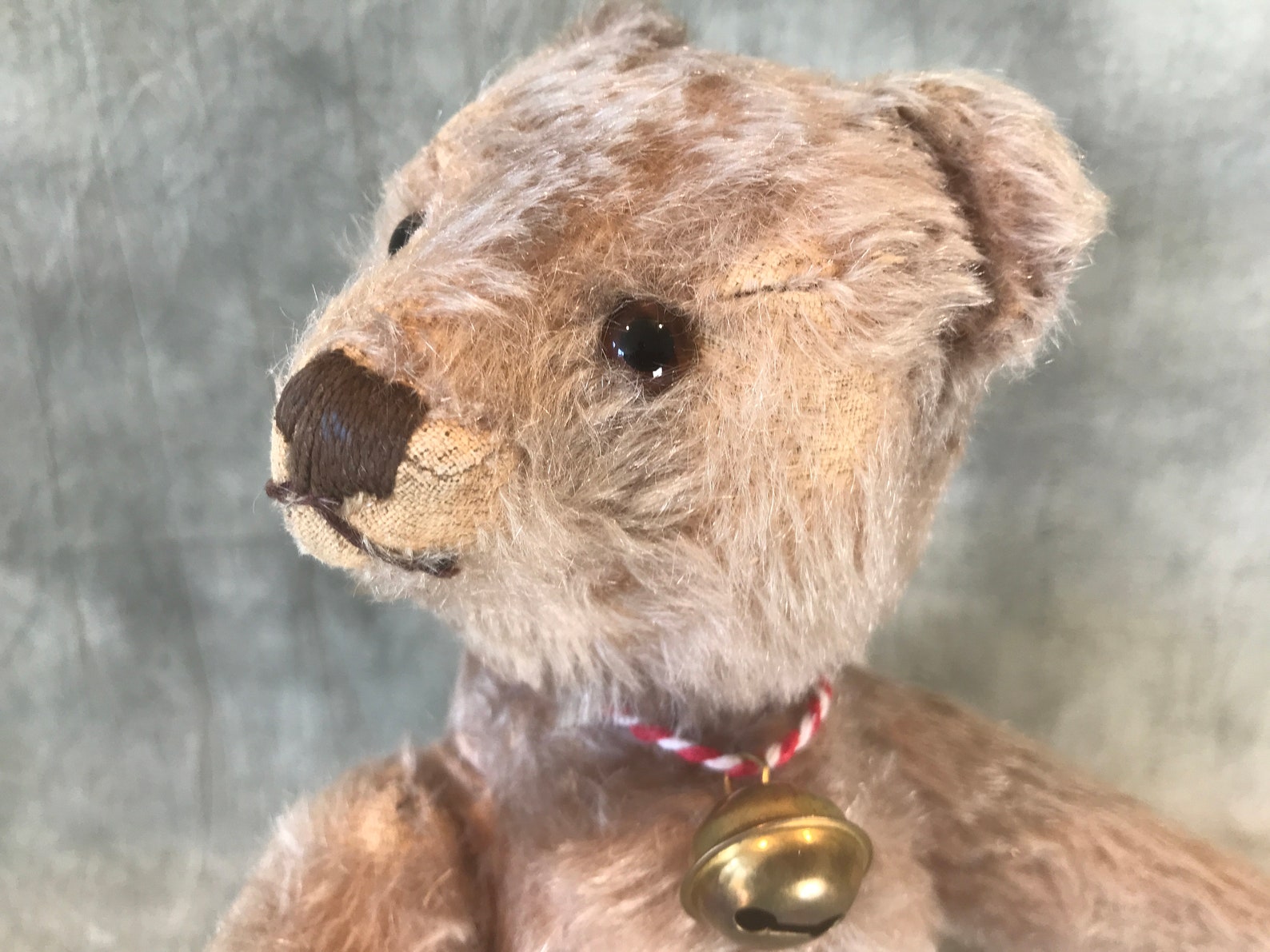 Steiff Bear Original Teddy 1950-1959 - Etsy