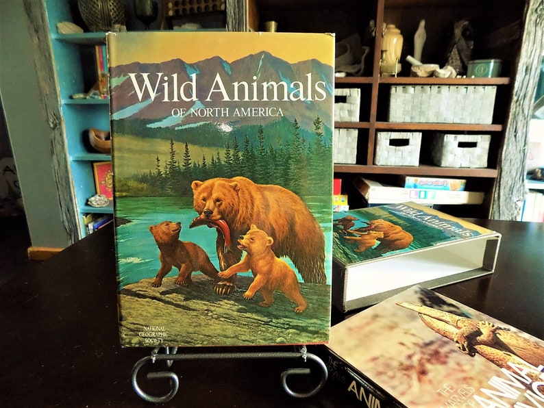 National Geographic the Marvels of Animal Behavior & wild Animals of ...