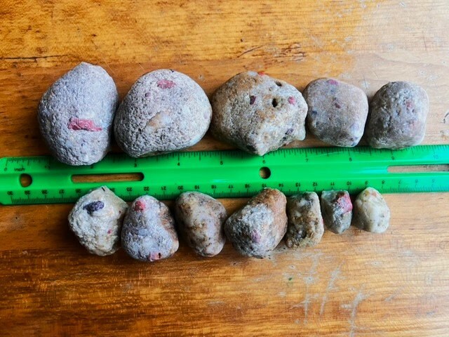 Twelve, Small Michigan Pudding Stones, Rough, Unpolished, for Lapidary ...