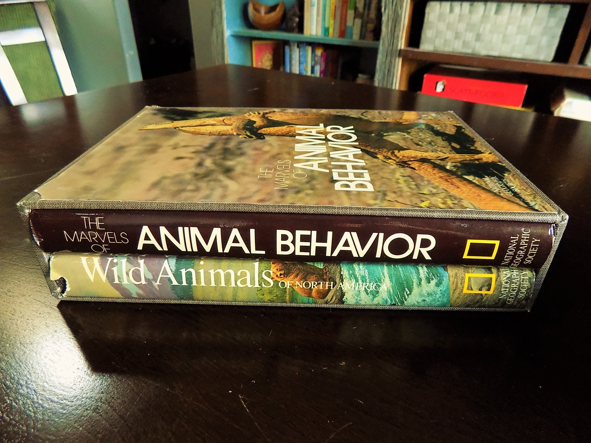 Wild Animal Behaviour